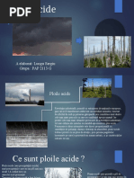Ploaia Acida | PDF