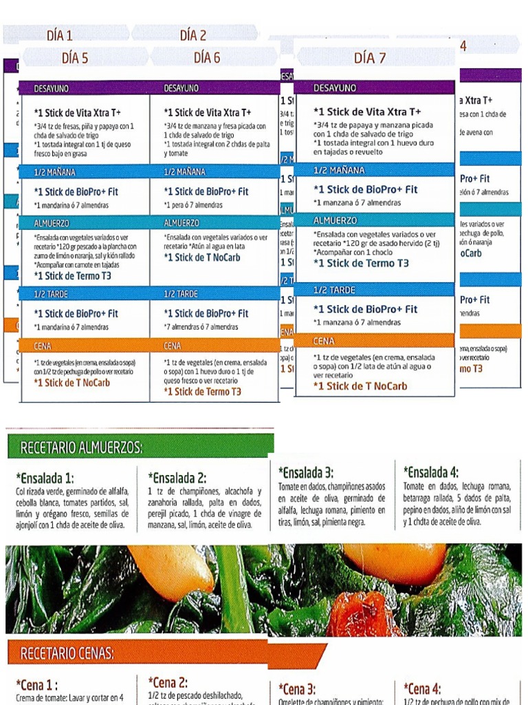 Plan Nutricional Pdf
