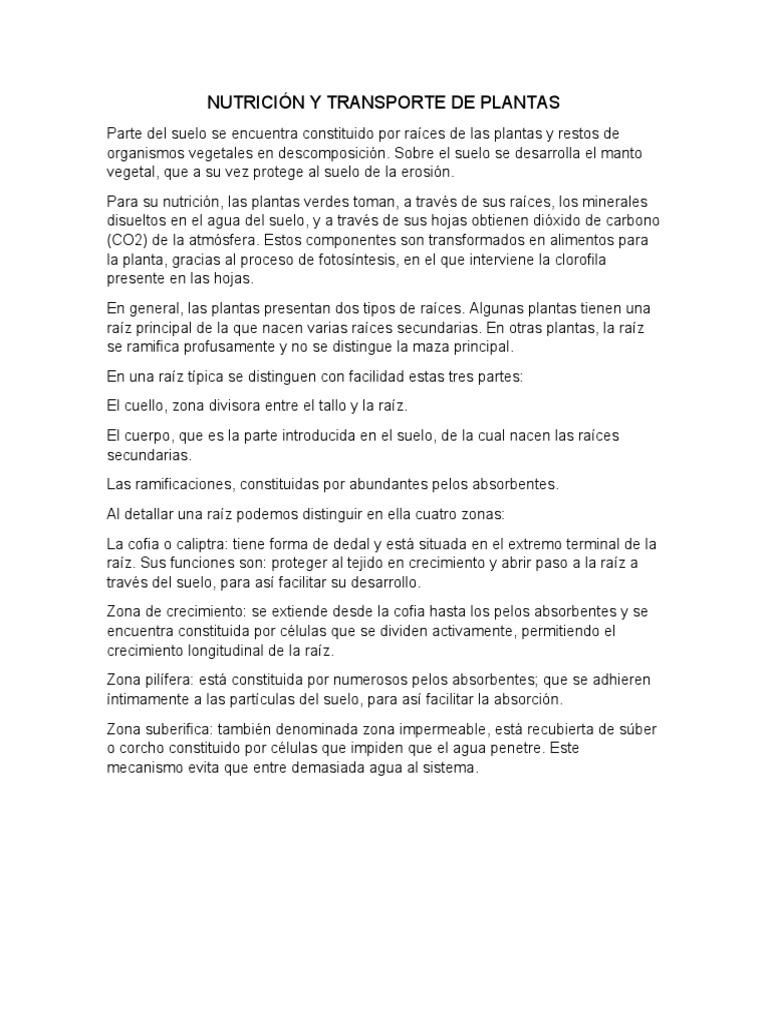 Estructura y Función de Las Plantas | PDF | Raíz | Flores