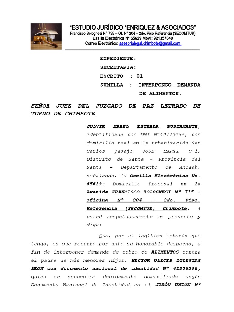 Demanda de Alimentos Julyir Mabel Estrada Bustamante Amiga July Jara ...