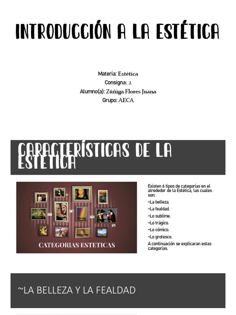 Introducción A La Estética | PDF | Belleza | Estética