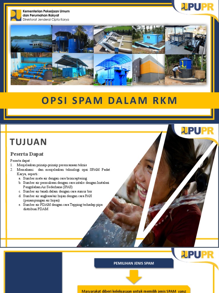 PPT Opsi Pengembangan Spam | PDF