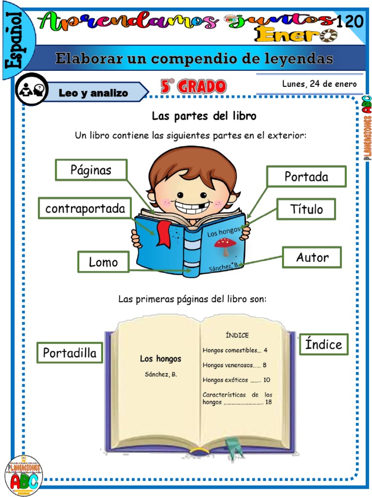 Partes Del Libro | PDF
