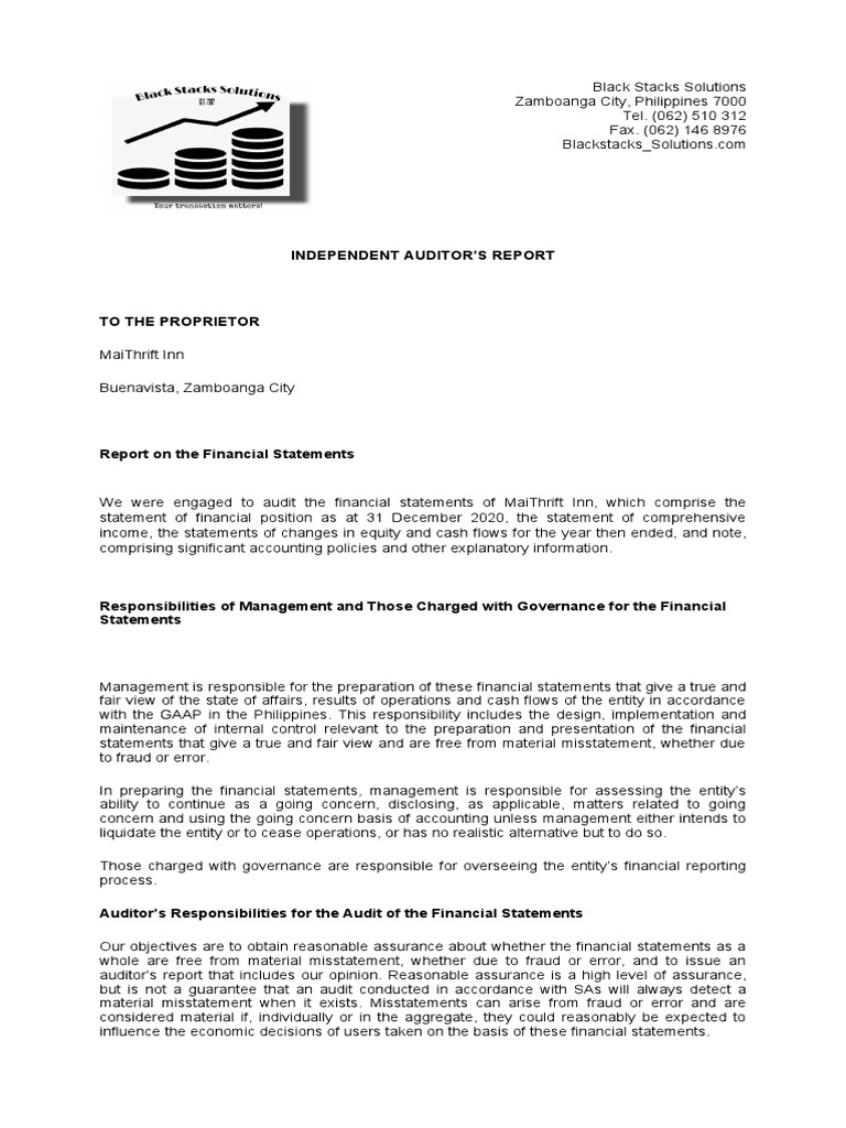 Independent Auditor'S Report | PDF | Financial Statement | Going Concern