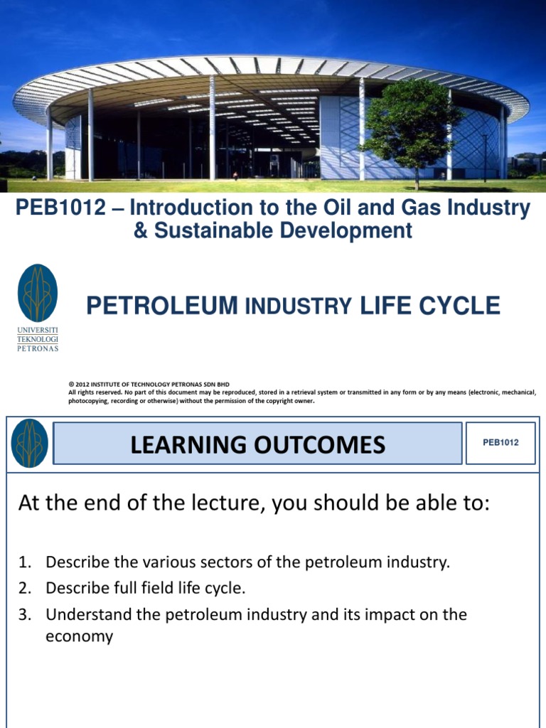 Petroleum Industry Life Cycle | PDF | Petroleum | Opec