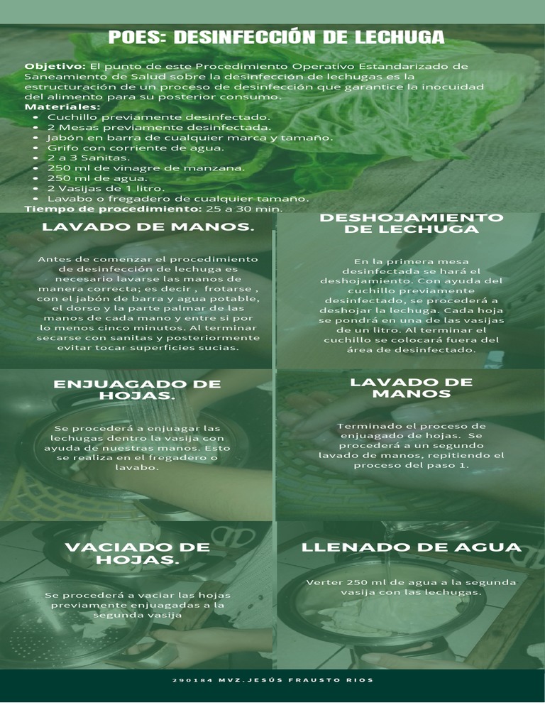Procedimiento para la desinfección de lechuga mediante lavado, enjuague ...