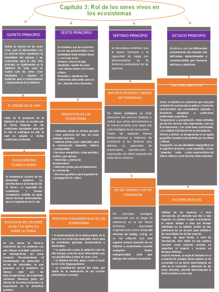 MAPA CONCEPTUAL CAPITULO 3 Ambiente y Sustentabilidad | PDF | Ecosistema | Tierra