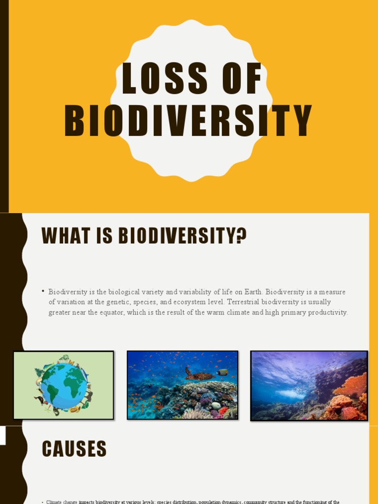Causes and Effects of Biodiversity Loss | PDF | Biodiversity ...