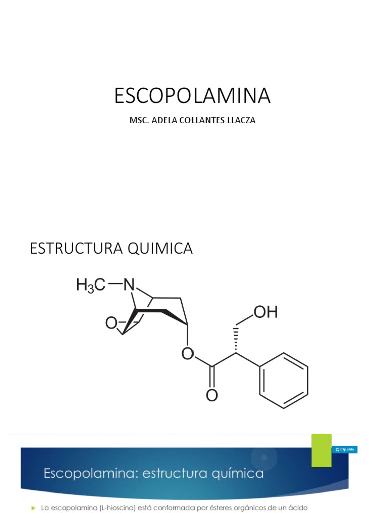 ESCOPOLAMINA | PDF | Músculo esquelético | Memoria