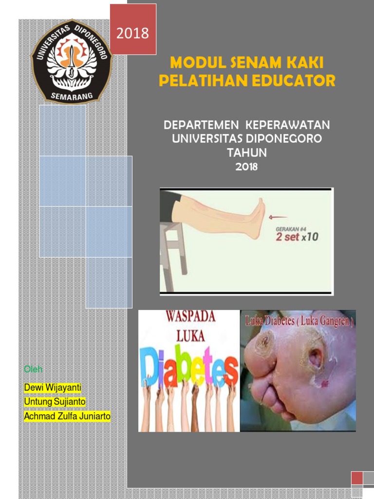 Modul Pelatihan Edukator TTG DM | PDF | Kesehatan Holistik