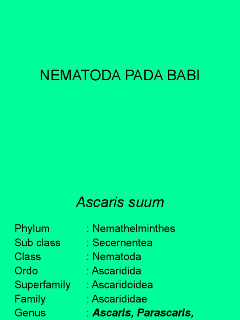 Nematoda Parasit pada Babi: Jenis dan Siklus Hidup | PDF
