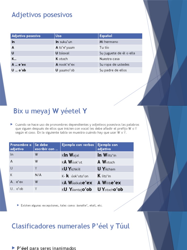 2.diapositivas Temas Maya III O-21 | PDF | Verbo | Gramática