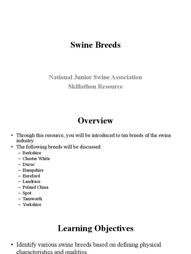 Swine Breeds: National Junior Swine Association Skillathon Resource ...