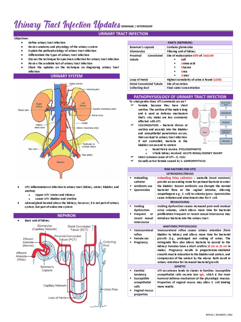 Seminar 1 Urinary Tract Infections | PDF | Urinary Tract Infection ...