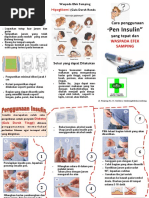 Cara Penggunaan Insulin Pen - Poster | PDF