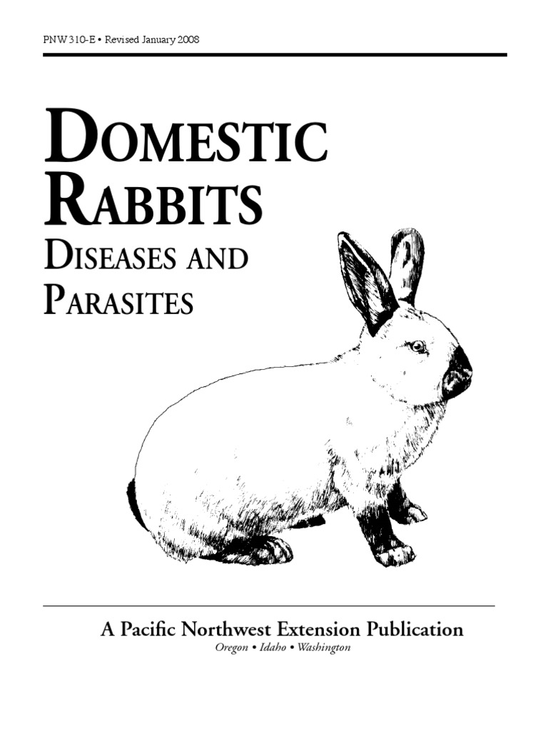 Domestic Rabbits Diseases and Parasites | PDF | Infection | Mucus