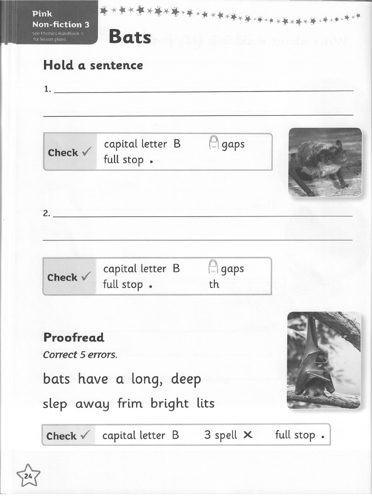 RWI Pink BK Non-Fiction3 P.24,25 | PDF