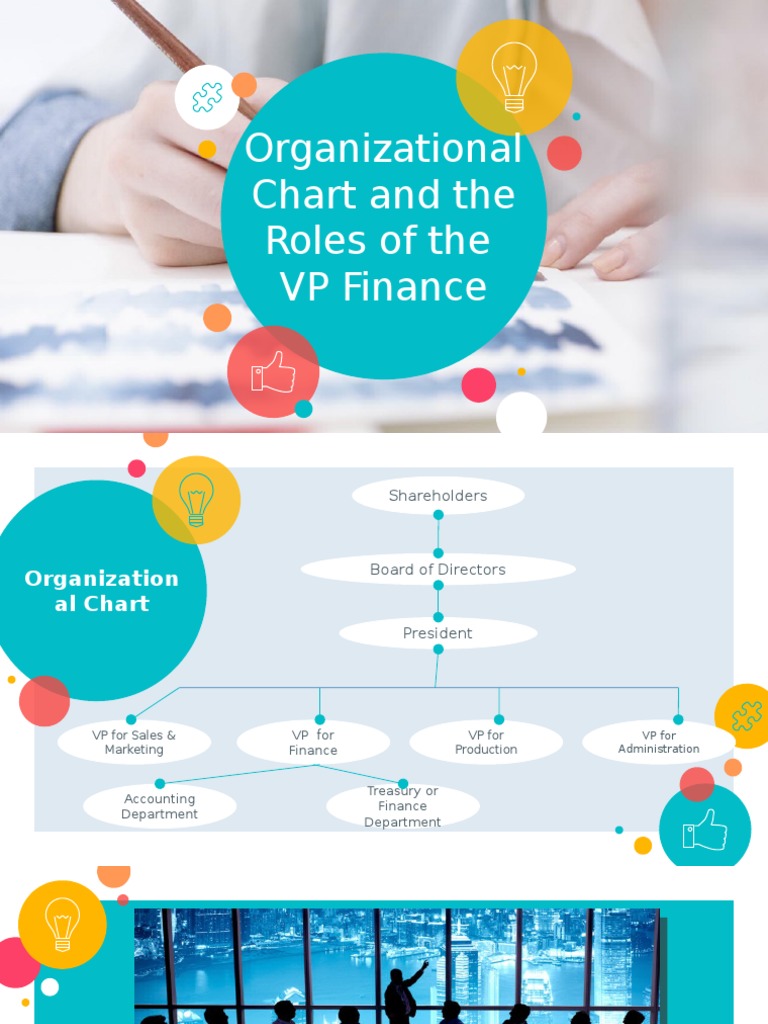VP Finance Roles and Organizational Chart | PDF | Dividend | Investing