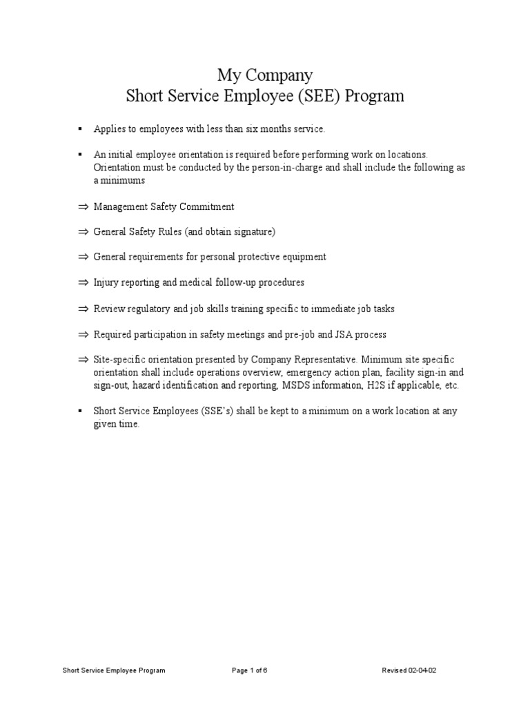 My Company SSE Program | PDF | Employment | Workplace