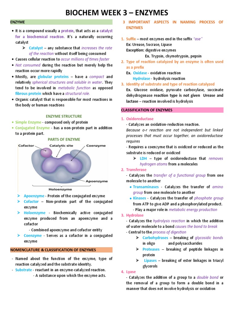 Biochemistry Week 3 - Enzymes | PDF | Enzyme | Active Site