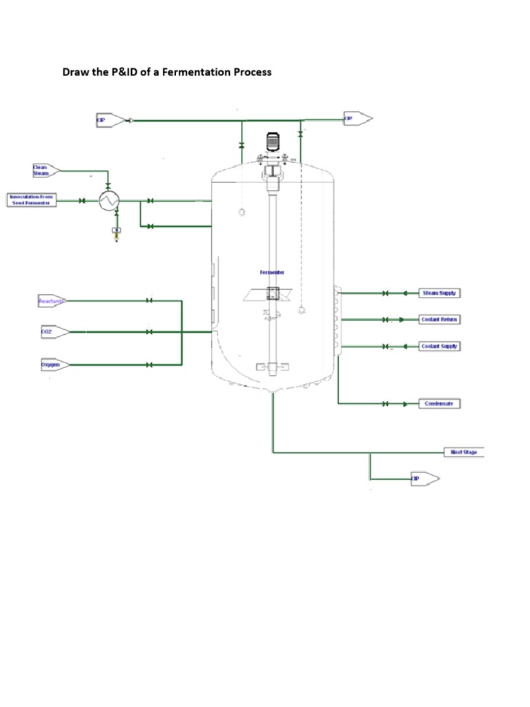 Draw The P&ID of A Fermentation Process | PDF