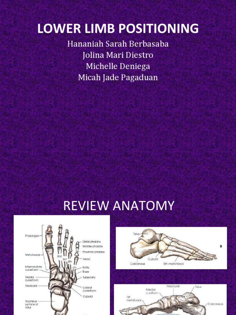 Lower Limb Positioning Peer Mentoring | PDF | Foot | Ankle