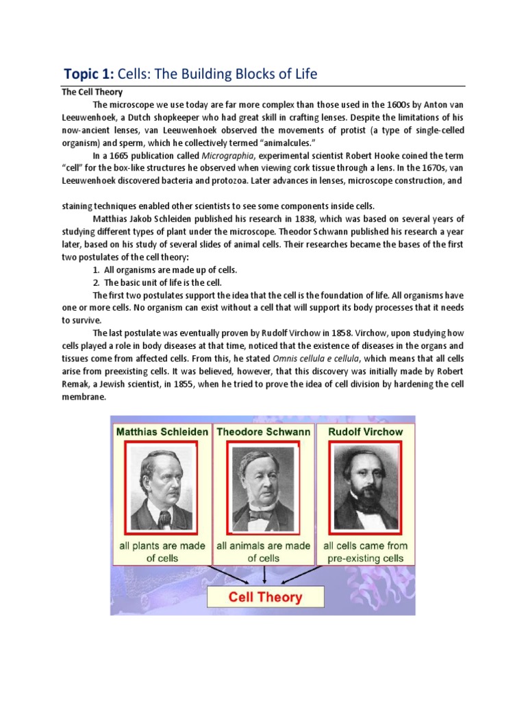 Cells The Building Blocks of Life - Learning Material | Download Free ...