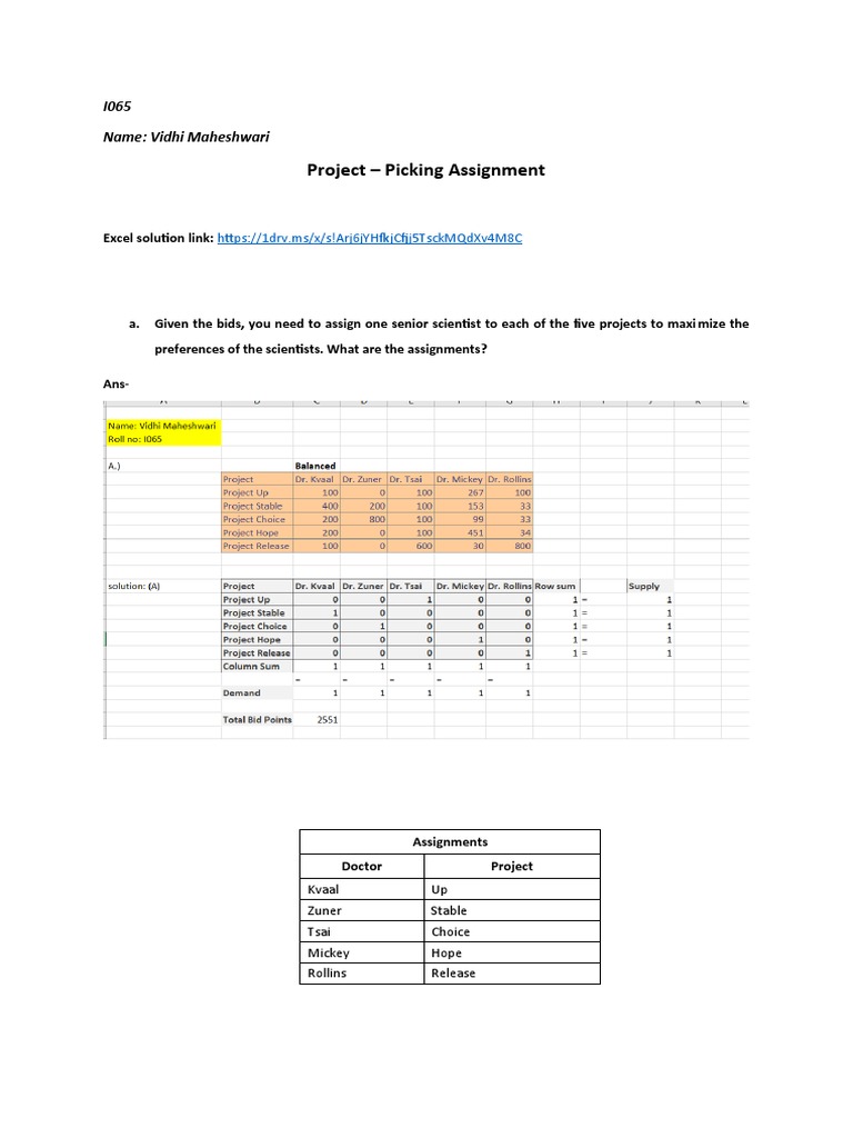 Project-Picking Assignment | PDF | Cognition