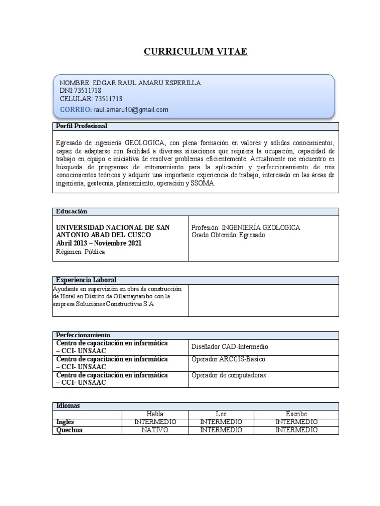 CV Raul | PDF | Ingeniería