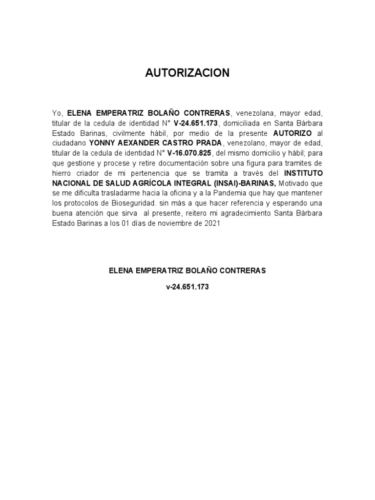 Autorizacion Insai | PDF | Gobierno y personalidad