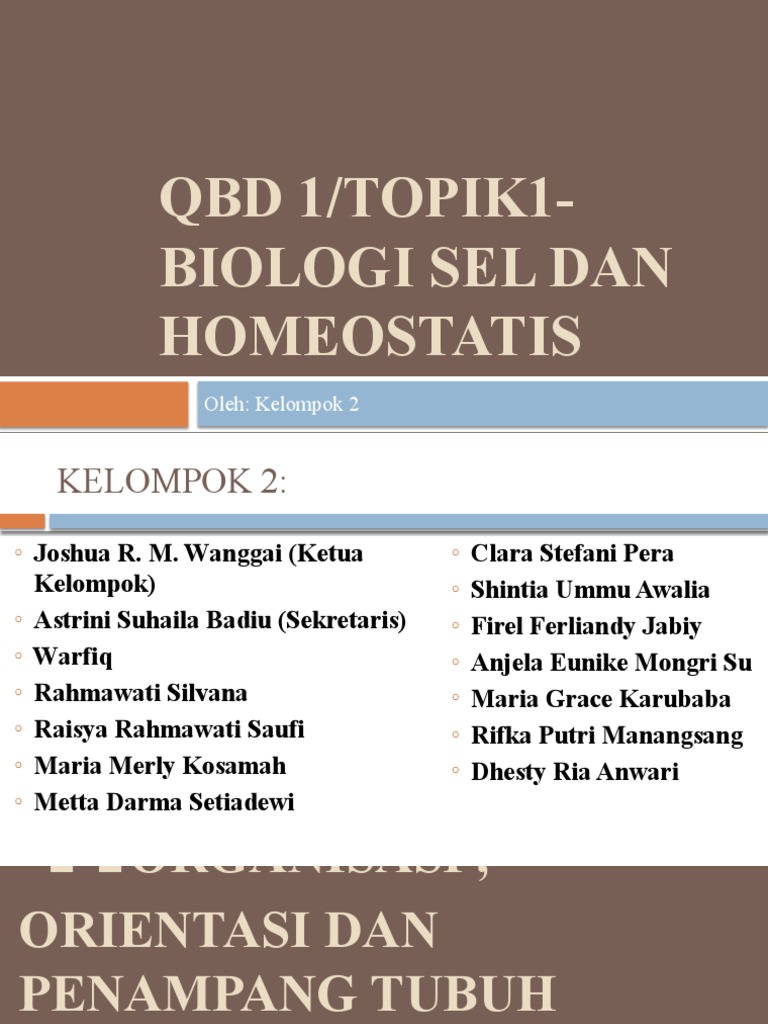 QBD 1 Kelompok 2 IBD | PDF