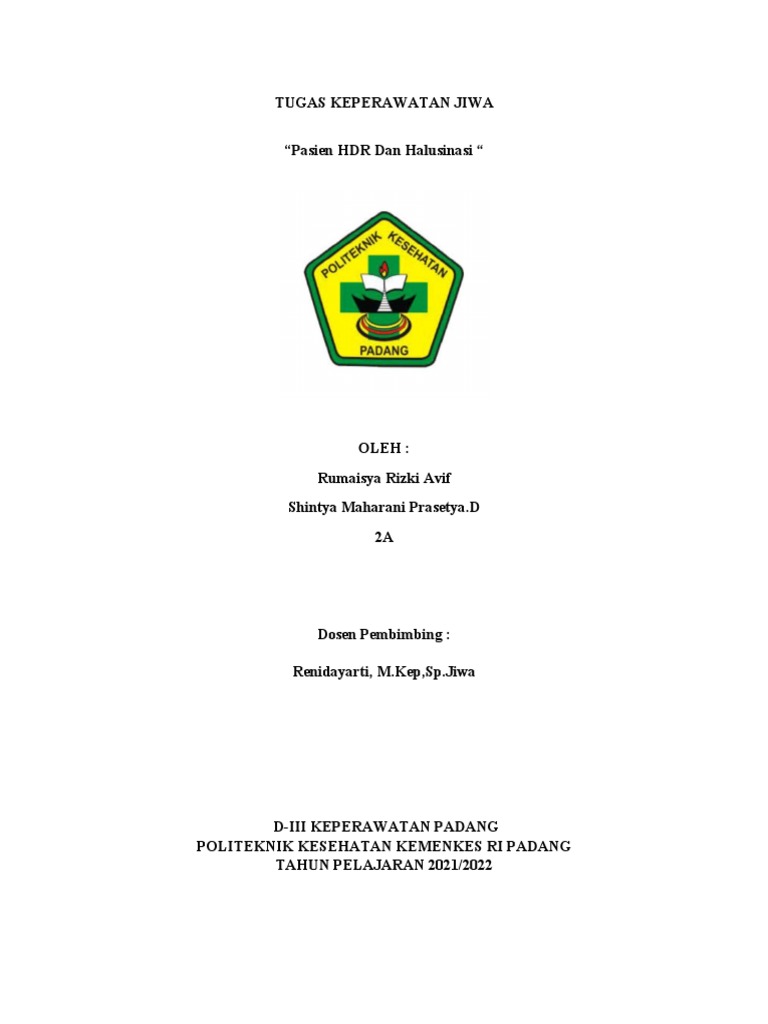 SP Harga Diri Rendah & Halusinasi | PDF