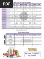Sinif Lgs Ders Calisma Plani | PDF