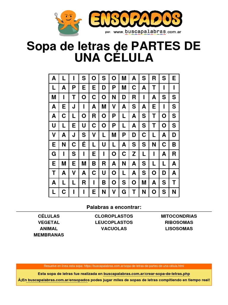 Sopa de Letras de Partes de Una Célula | PDF