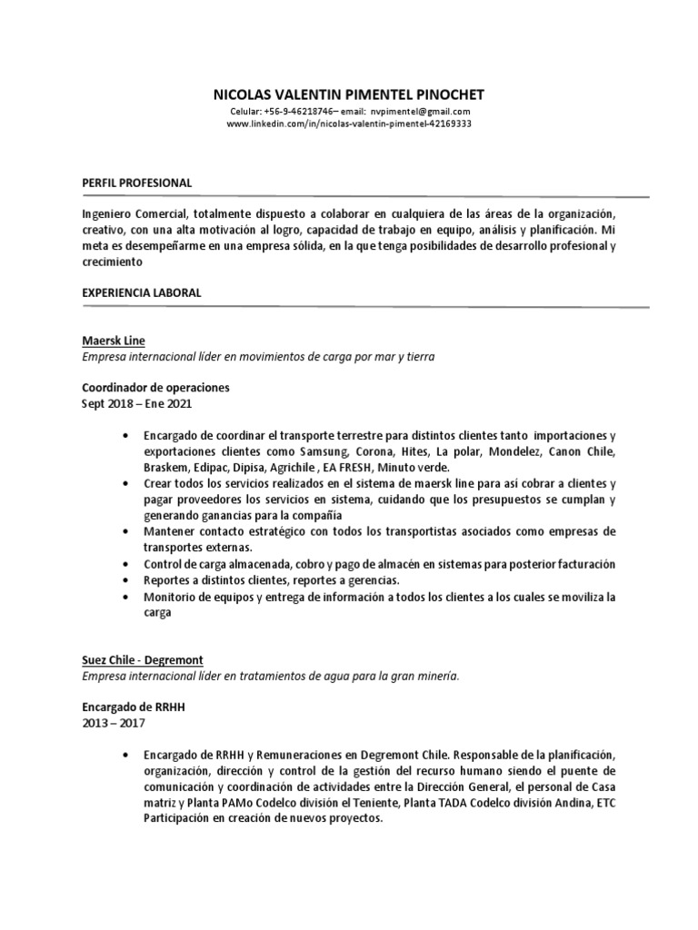 CV Nicolas P 2022 | PDF | Business | Chile