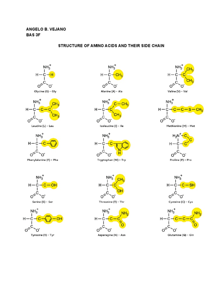 Structure of Amino Acids and Their Side Chain | PDF