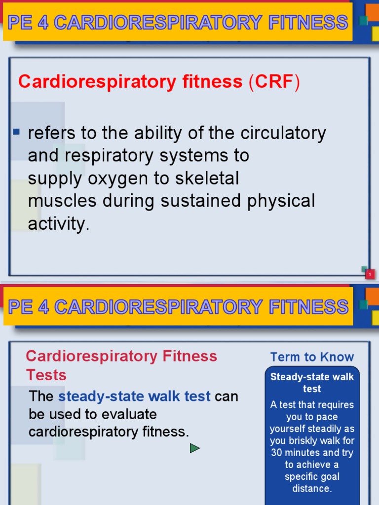 An Overview of Cardiorespiratory Fitness Testing and Aerobic Exercise ...
