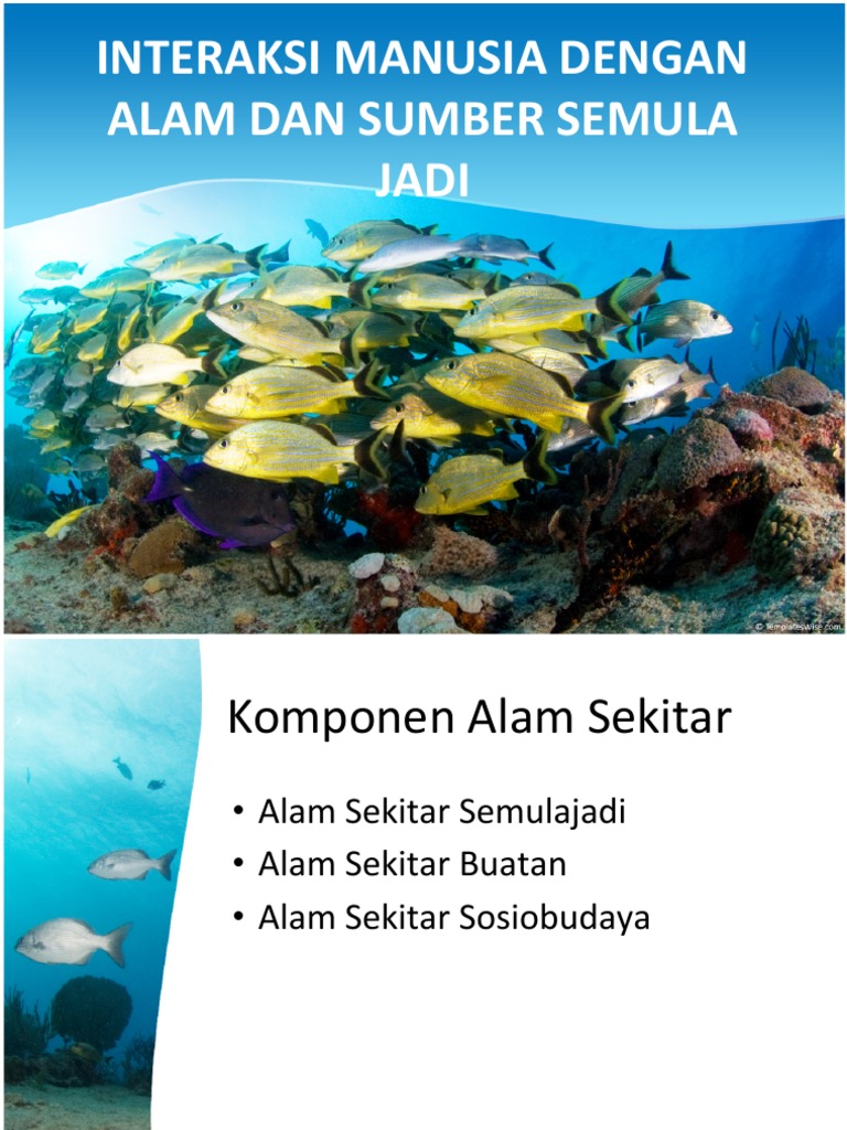 MENGENAL ALAM SEKITAR DAN EKOLOGI | PDF