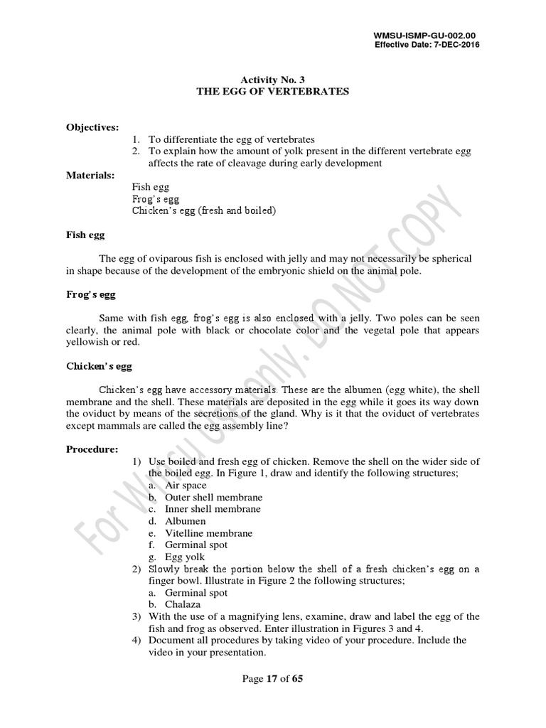 Activity No. 3 The Egg of Vertebrates: WMSU-ISMP-GU-002.00 | PDF | Egg ...