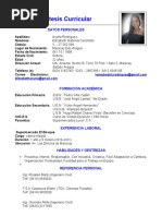 CURRICULUM VITAE BASICO Paola | PDF