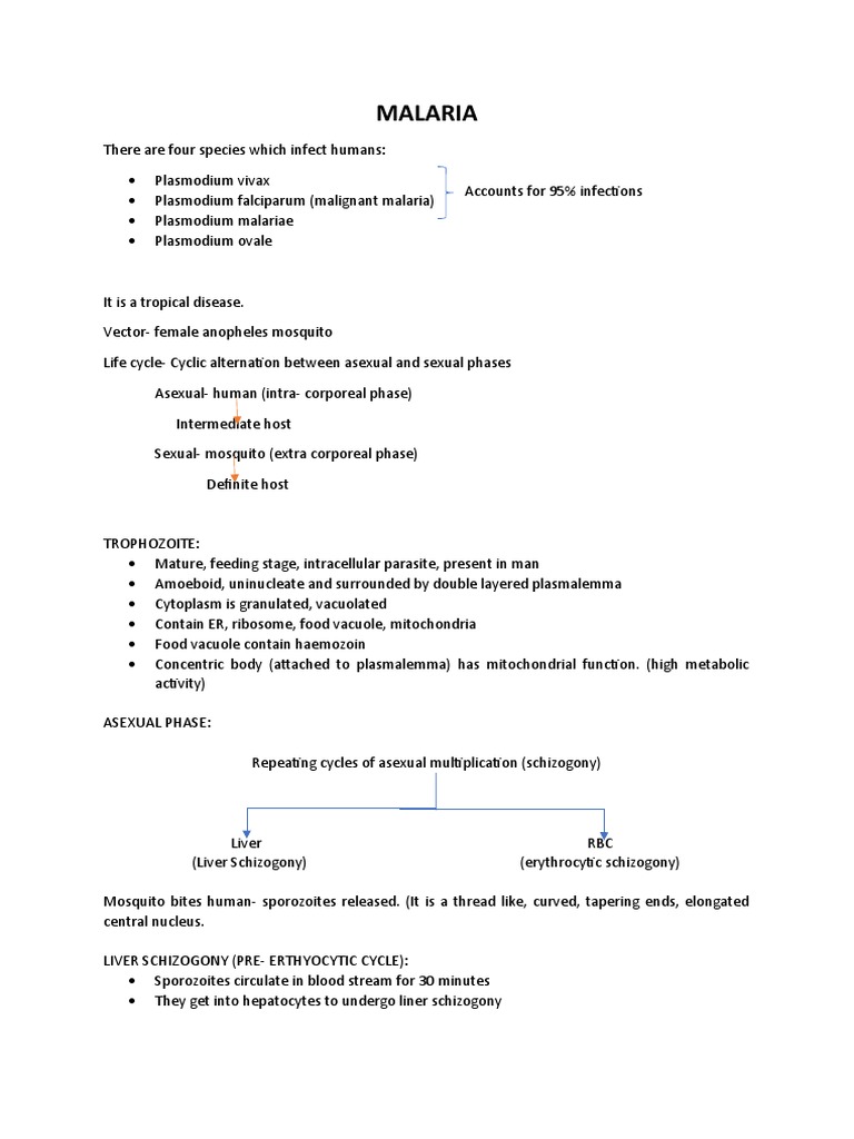 Malaria Schematic Diagram | PDF | Plasmodium | Malaria