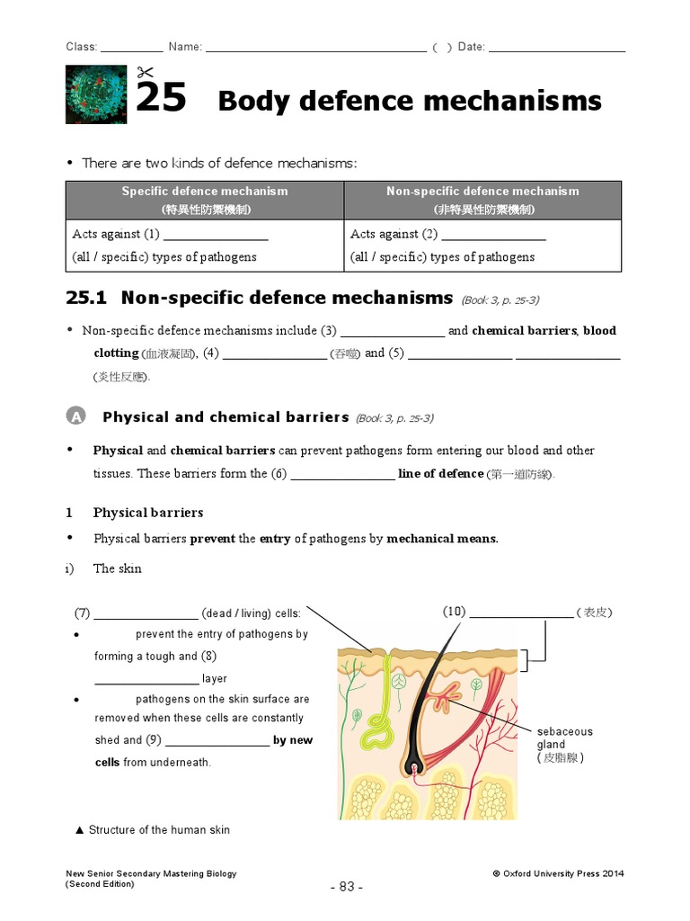 Body Defence Mechanisms | PDF | B Cell | Immune System