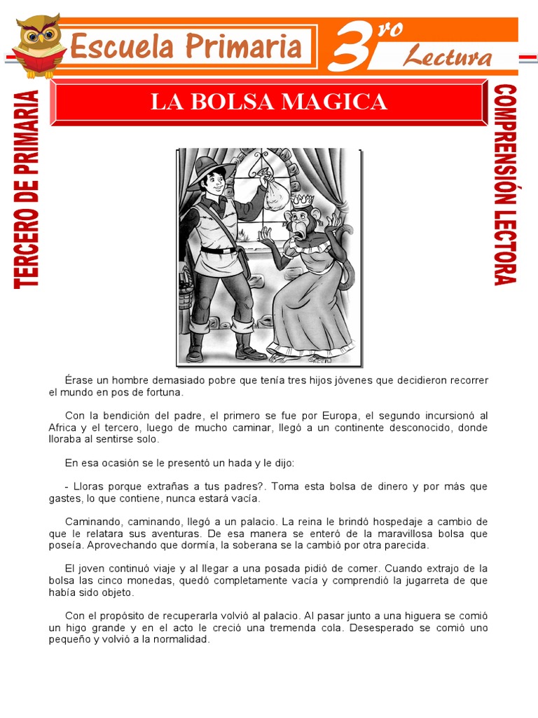 La Bolsa Mágica para Tercer Grado de Primaria | PDF | Libros para ...