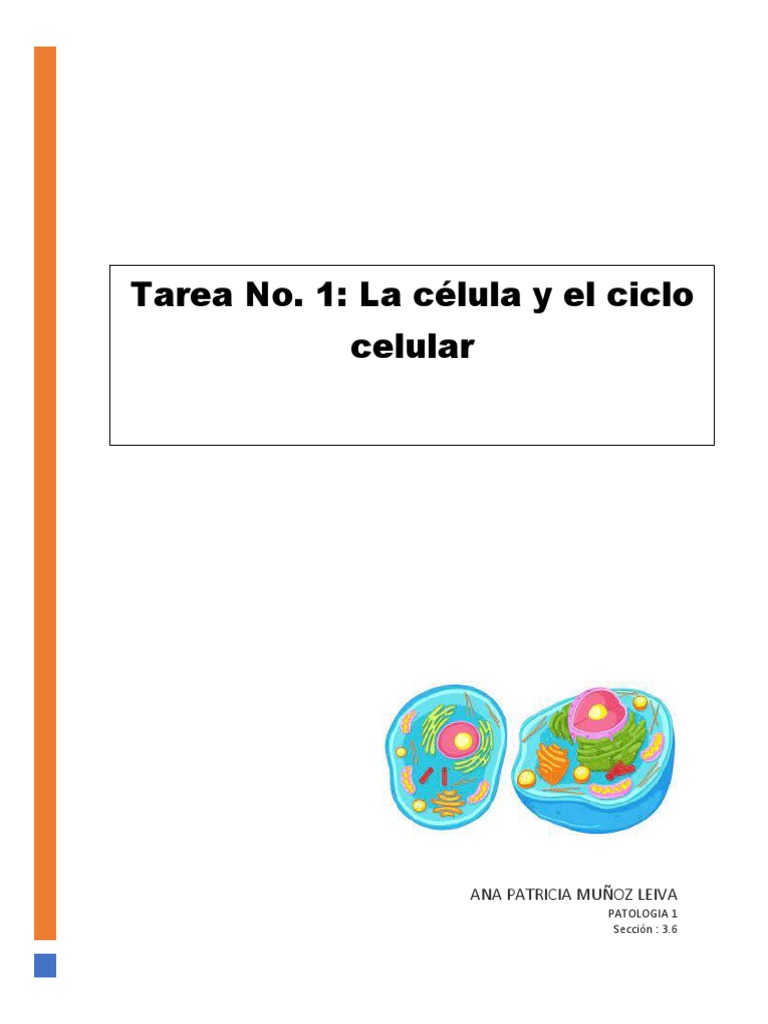Tarea 1 Pato | PDF | Mitosis | Biología Celular)