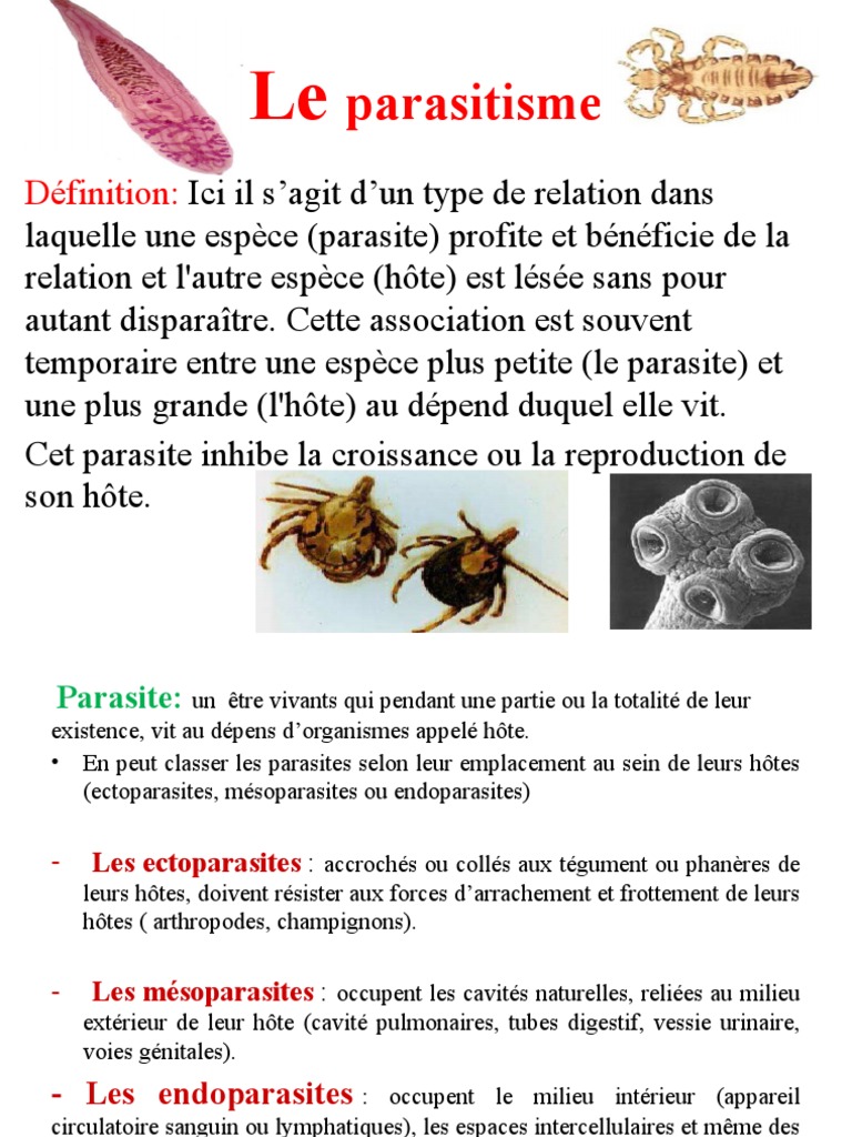 Le Parasitisme | PDF | Parasitisme | Herbivore
