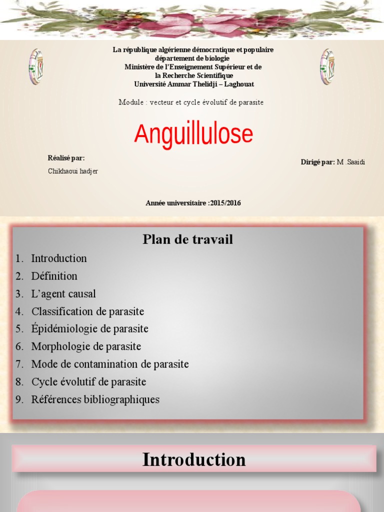 Anguillulose : Cycle et Contamination | PDF | Nematoda | Spécialités ...