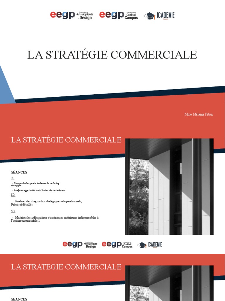 Strategie Commerciale | PDF