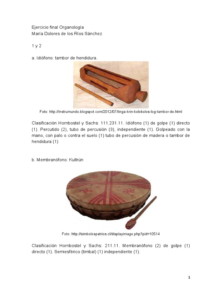 Clasificación Hornbostel y Sachs | PDF | Guitarras | Las artes escénicas