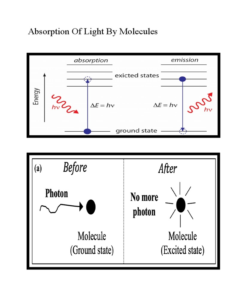 Absorption of Light by Molecules | PDF | Light | Photon