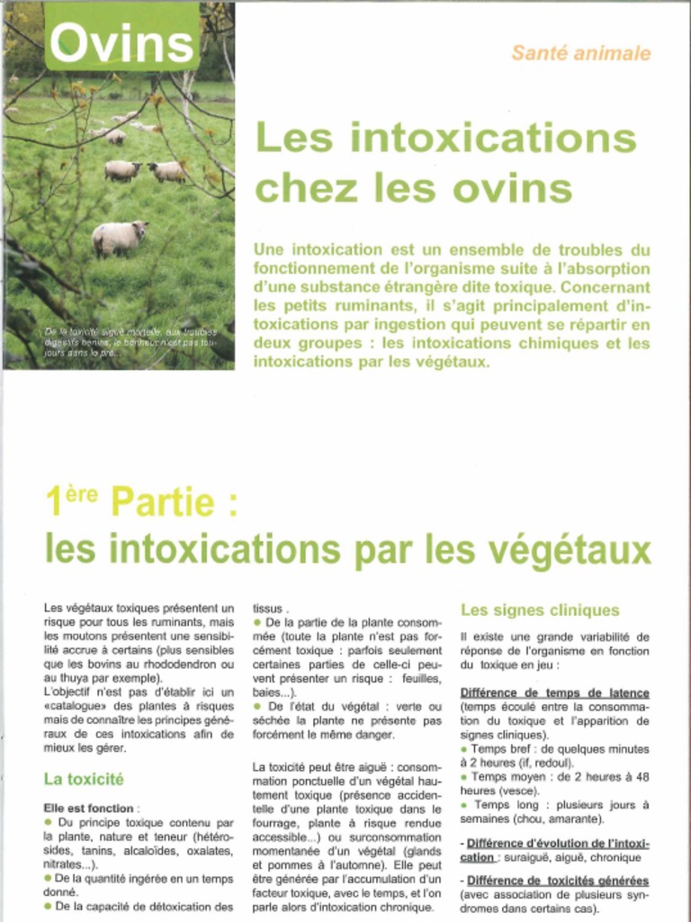 Plantes Toxiques Ovins | PDF